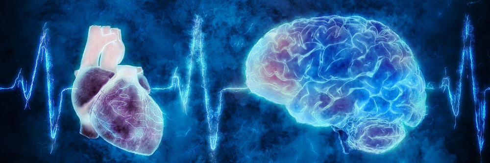 Heart Attack vs. Stroke: Key Differences, Long-Term Effects, and ...